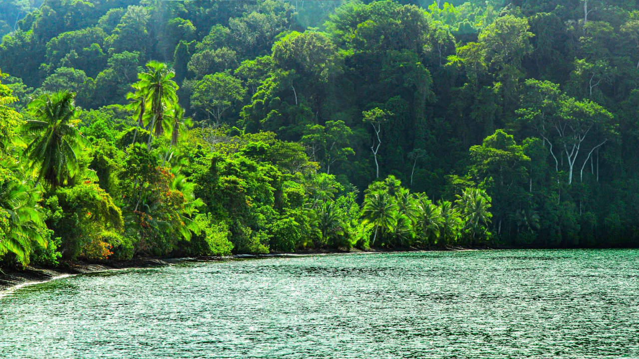 Top 20 places to go in Costa Rica for nature and adventure