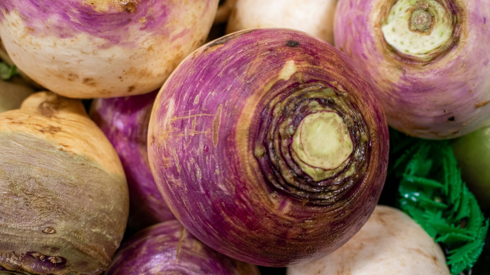 10 vegetables everyone hates & 10 we all love
