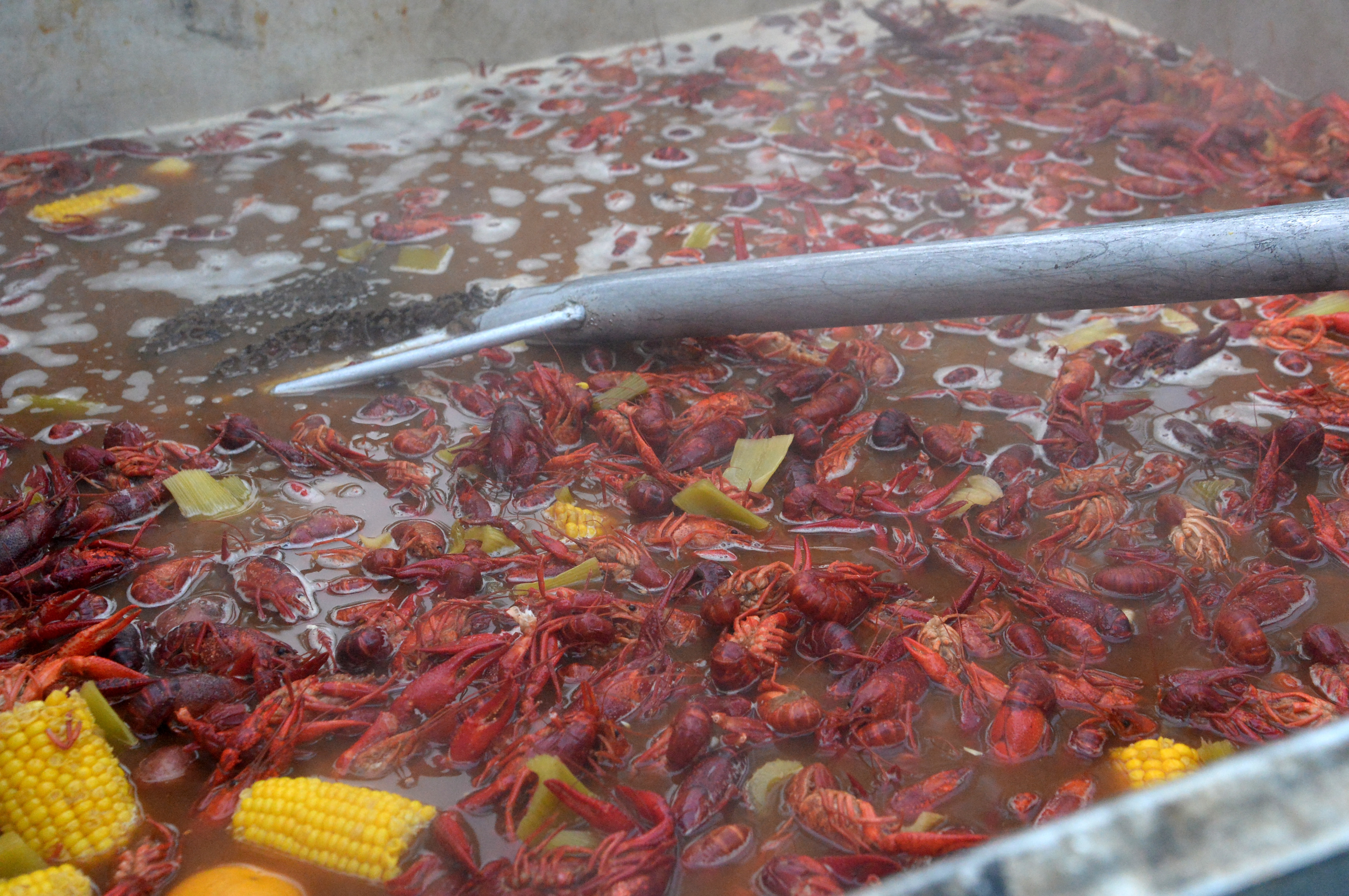 Saints team up with Cox to host 2026 NFL Draft Crawfish Cook-Off ...