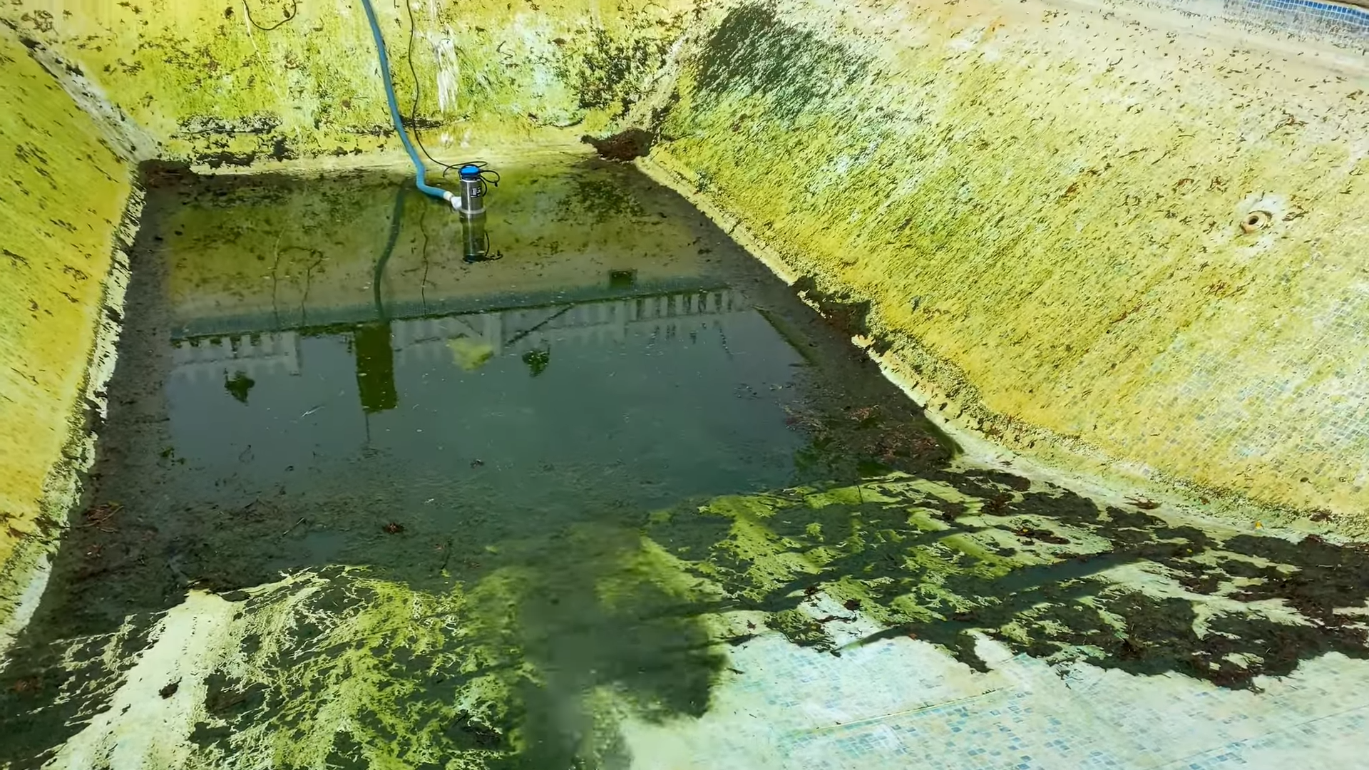 This is how a new liner transforms a backyard