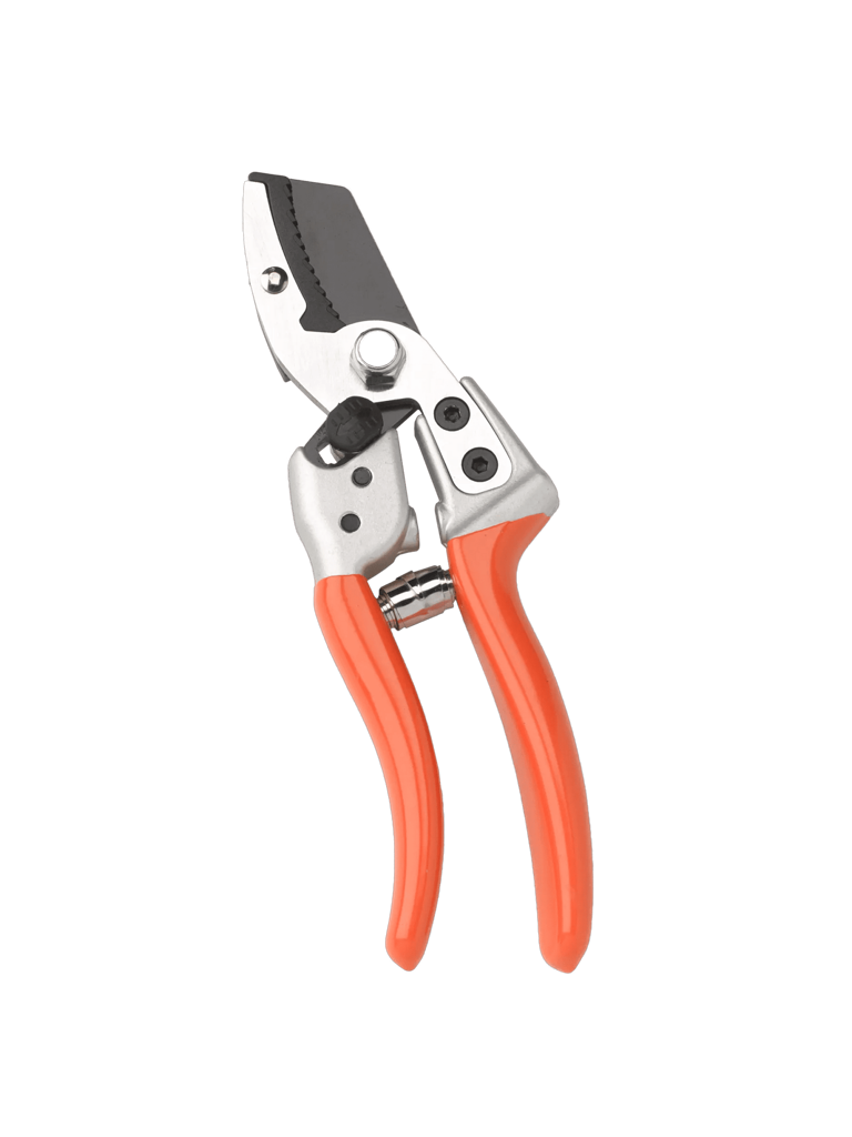 This is the one gardening tool beginners always underestimate — but you ...