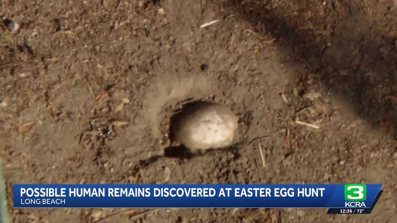 Possible human remains found during Easter egg hunt at California park