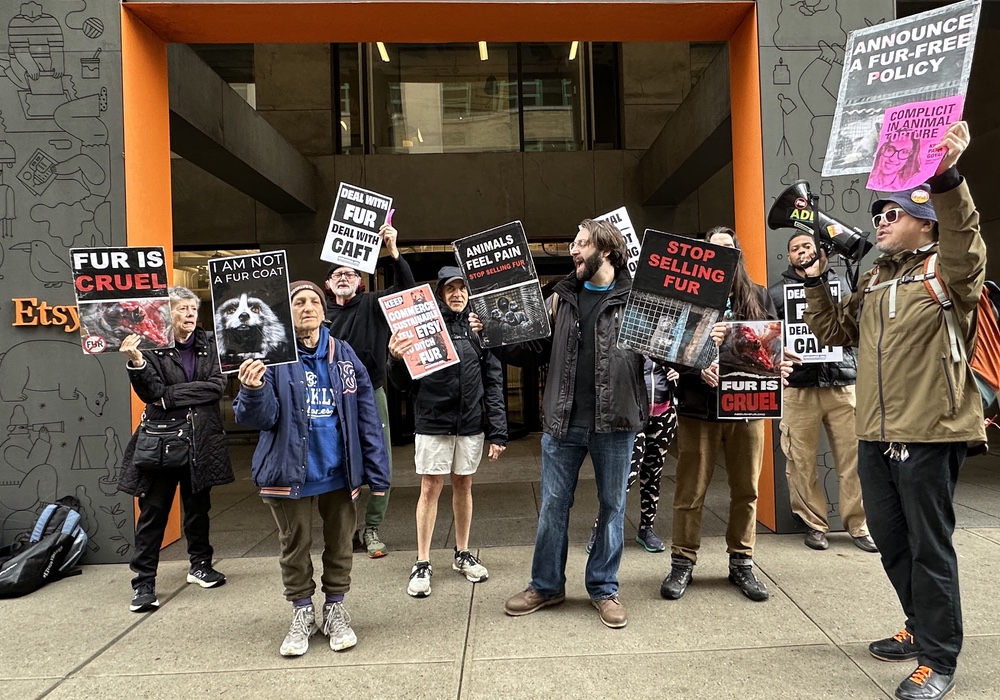 Etsy to ban fur sales