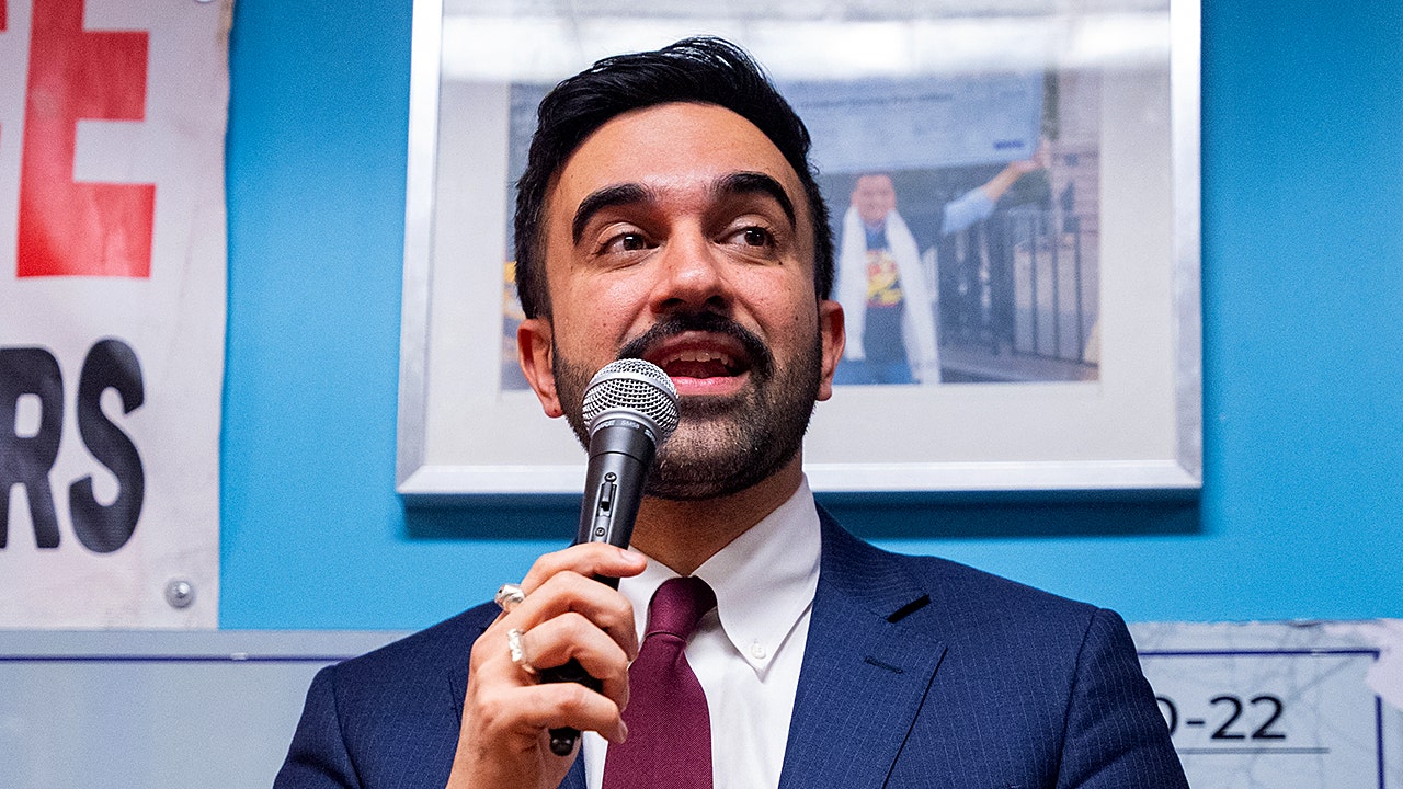 Mamdani avoids question on Ken Griffin, admits no response after trying ...
