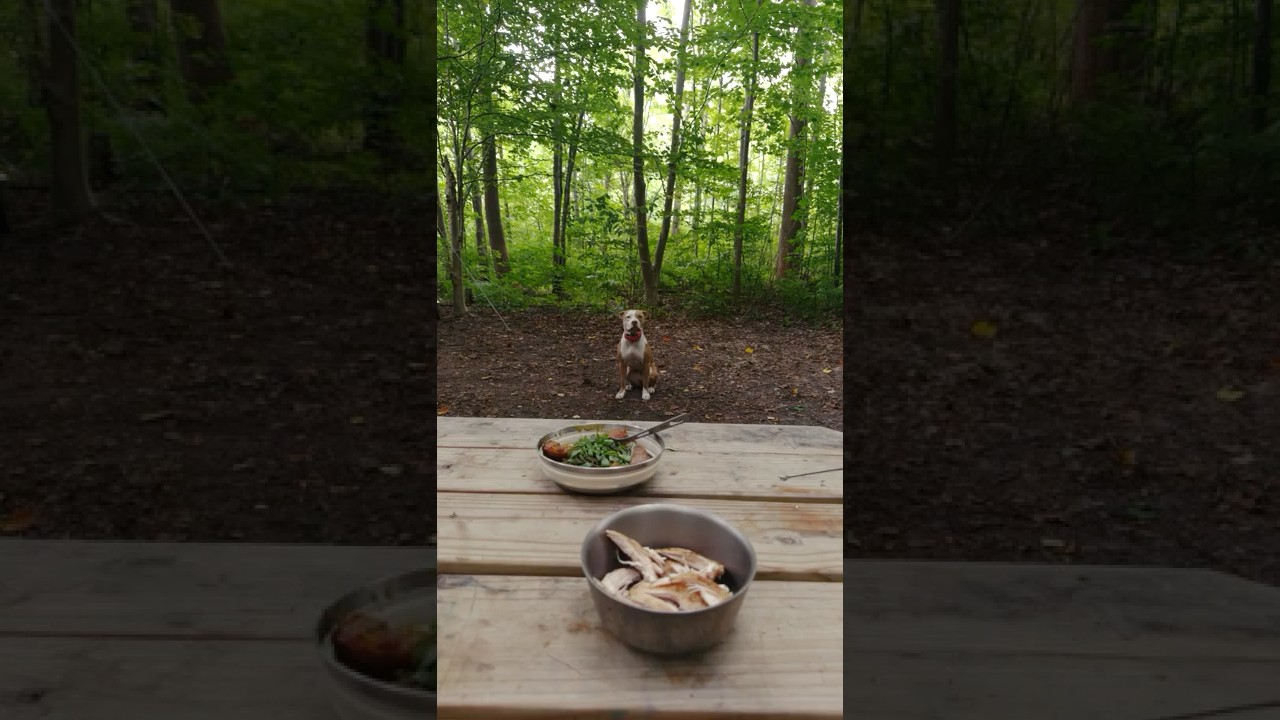 I transformed campfire cooking with Balinese chicken curry! 🍛