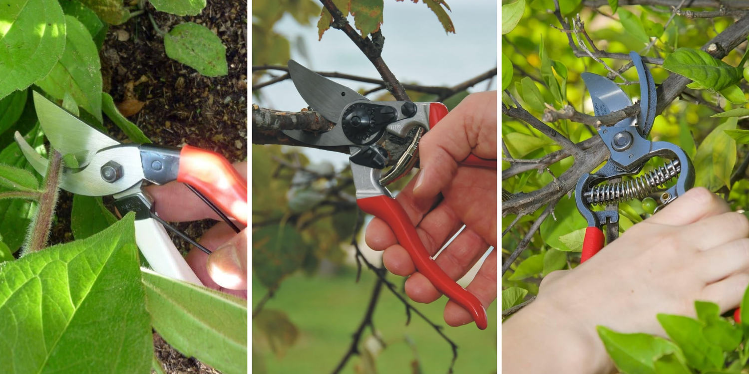 This is the one gardening tool beginners always underestimate — but you ...