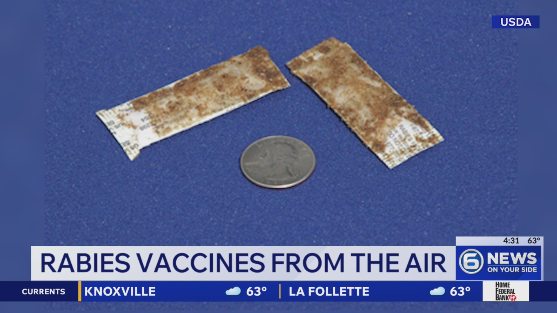 Low-flying aircraft, helicopters to drop rabies vaccine in East Tennessee