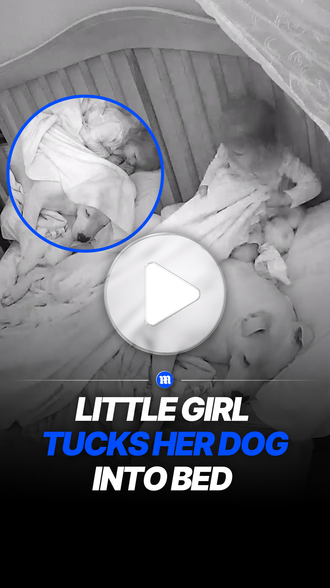 Child shows gentle care while interacting with animal