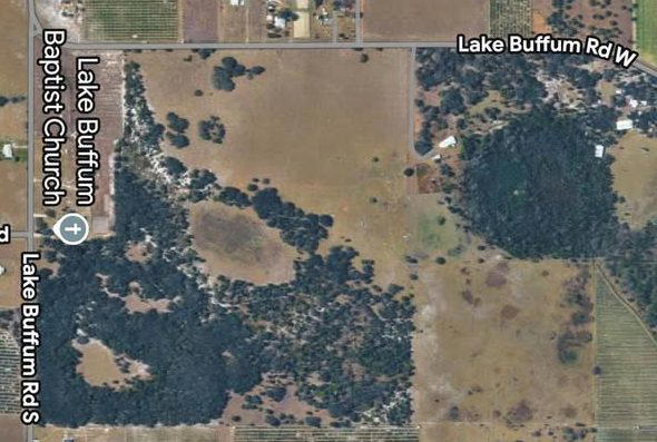 9 cows mysteriously shot in Polk County, sheriff says