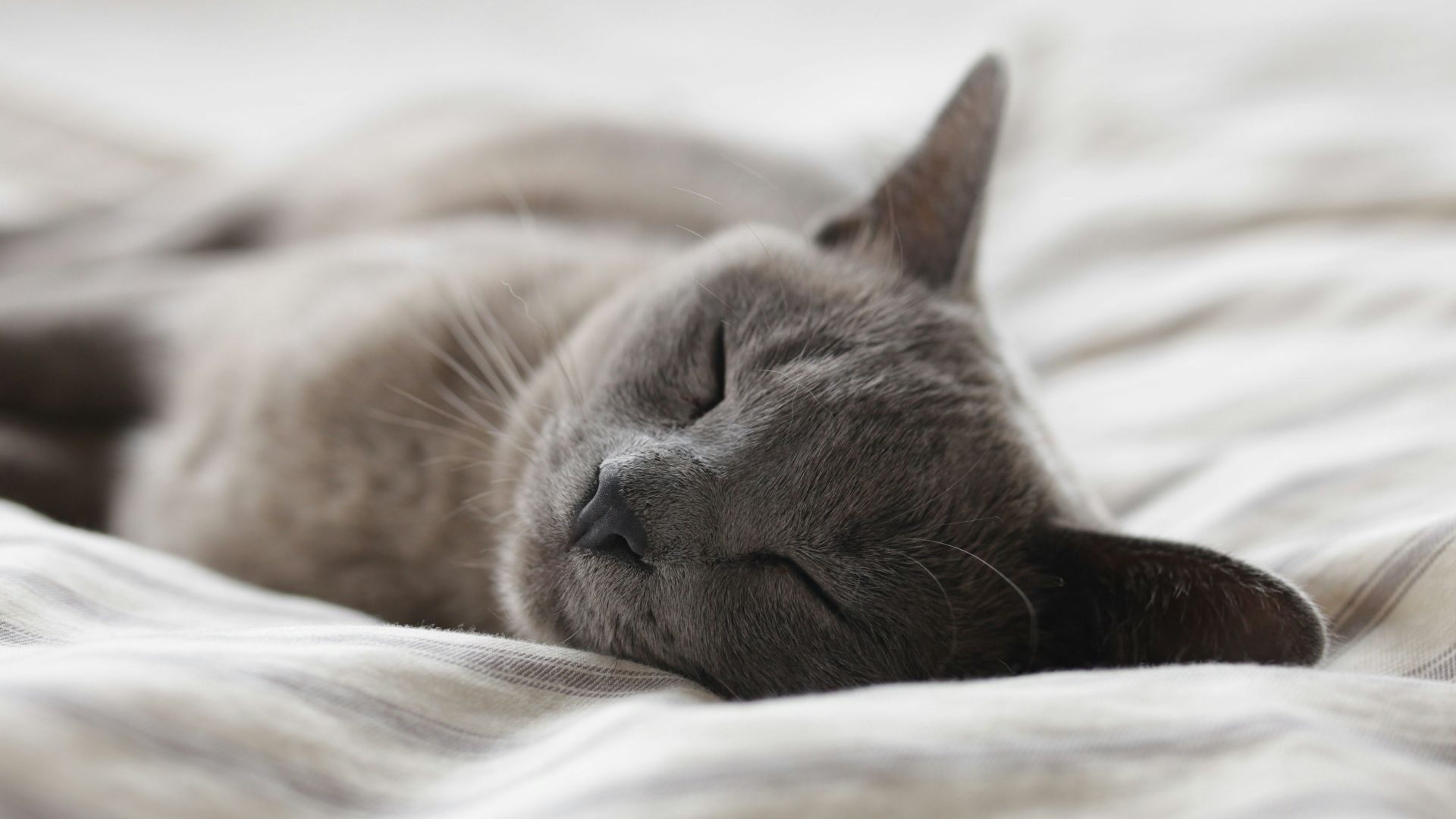20 things seniors should know about sleep