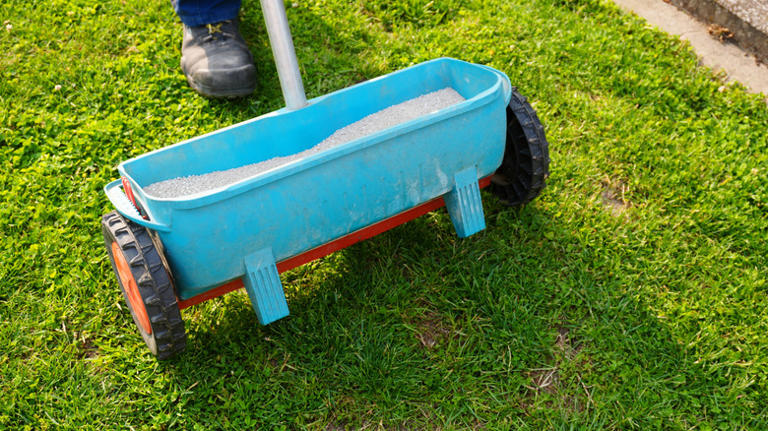 The unlikely sign your lawn has too much nitrogen (& the simple ...