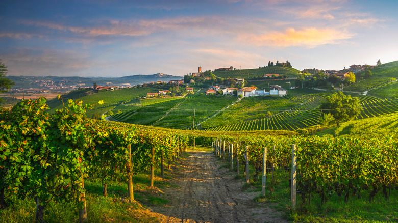 What exactly is Moscato wine?