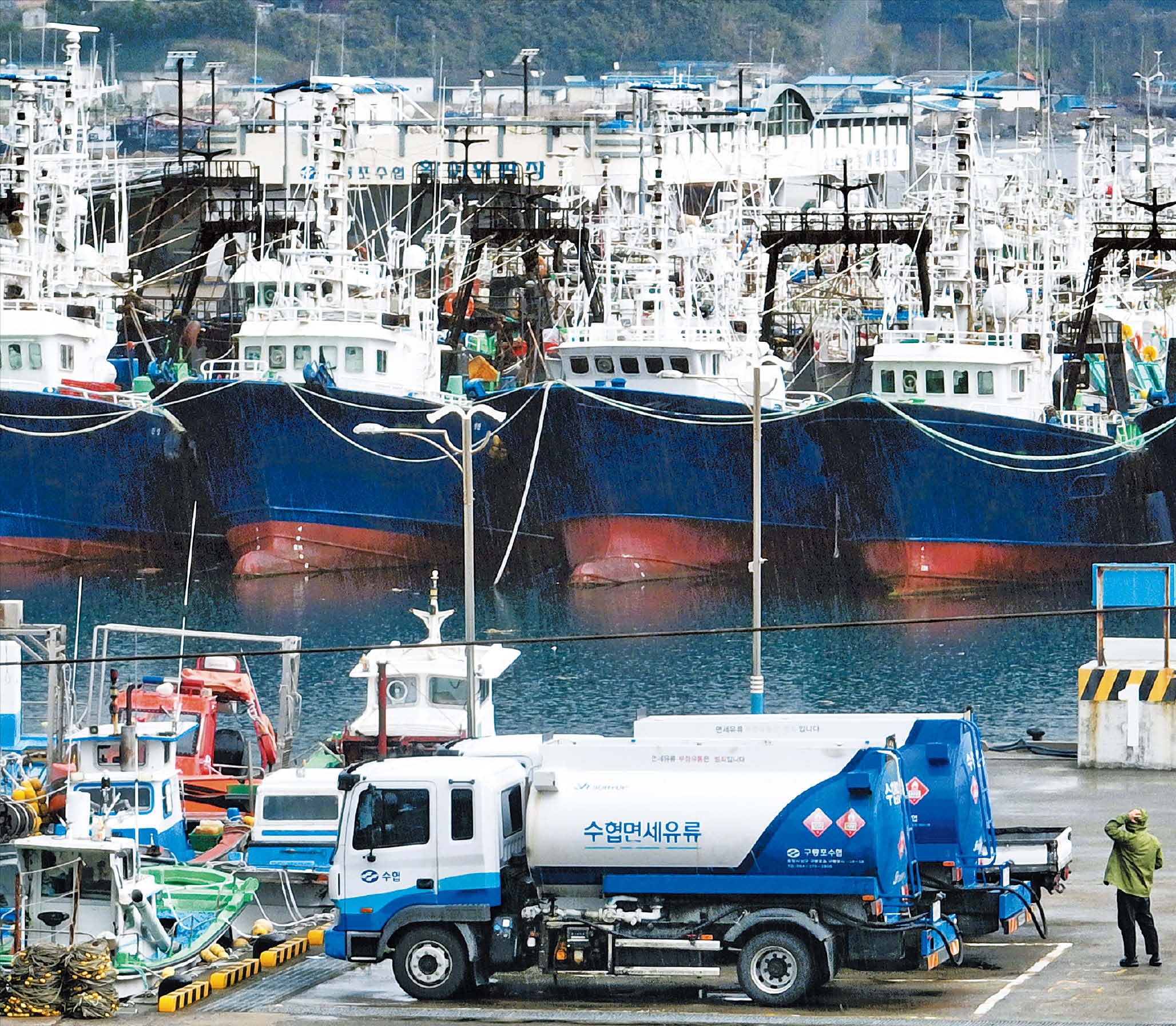 Red crab fishing boats halt operations amid oil price surge