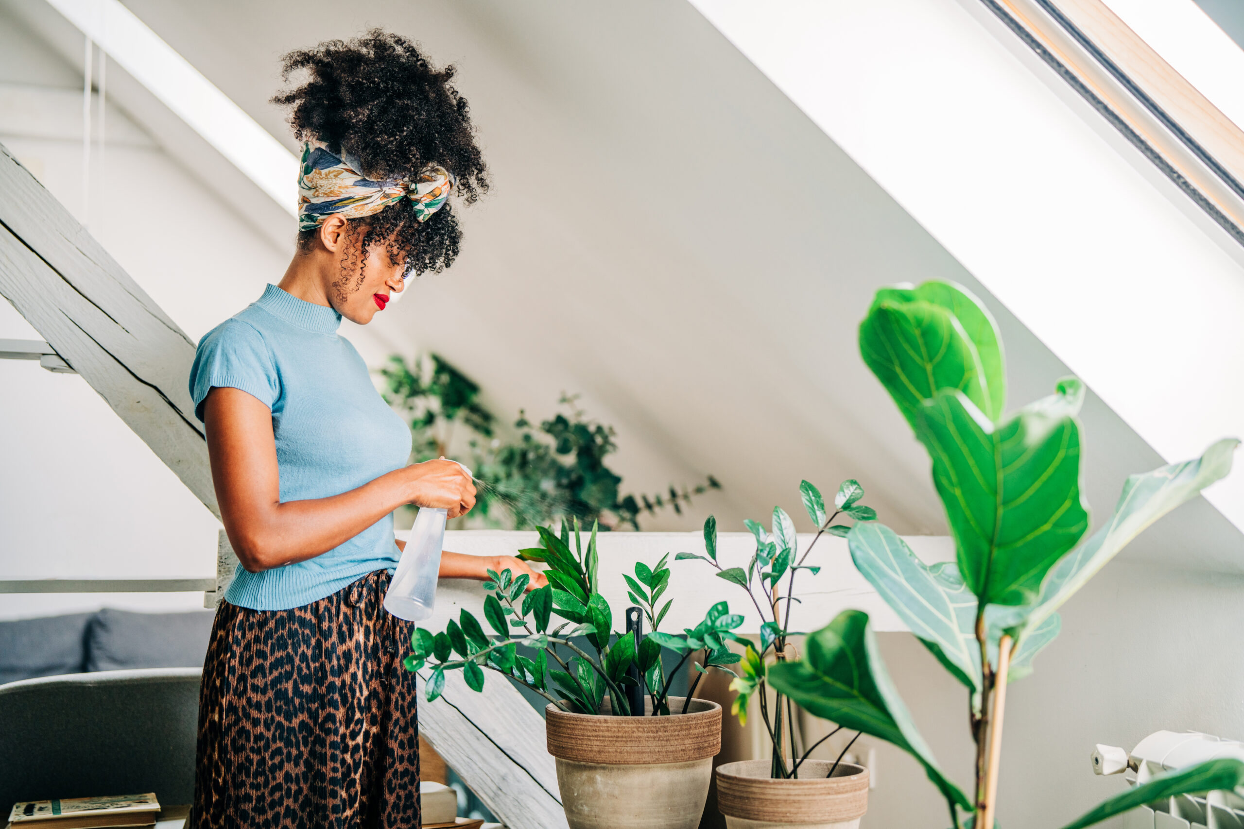 Black home spring refresh
