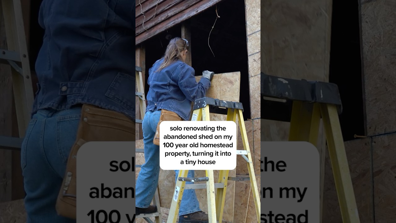 DIY solo tiny house renovation!