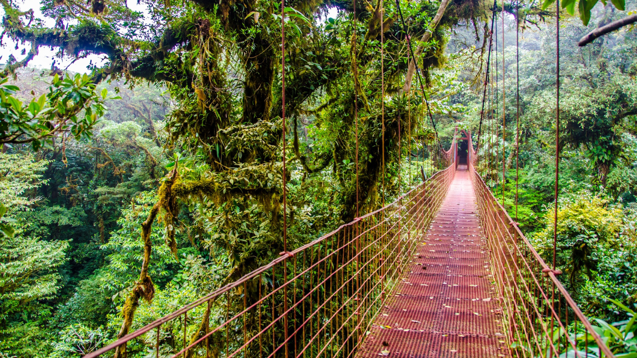 Top 20 places to go in Costa Rica for nature and adventure