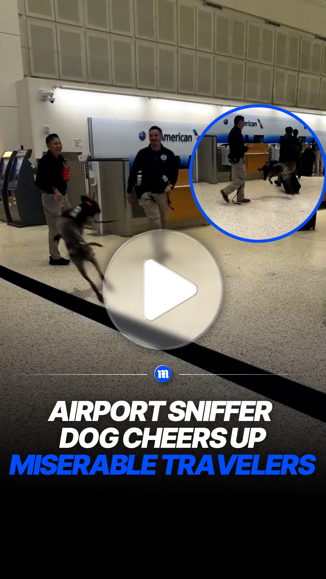 Sniffer dog plays as travelers face long airport security lines