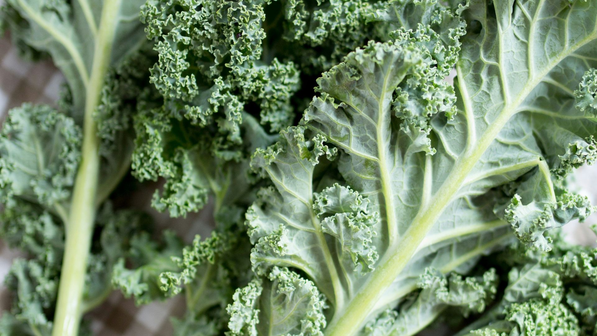 20 things you should include in your diet if you’re over 50