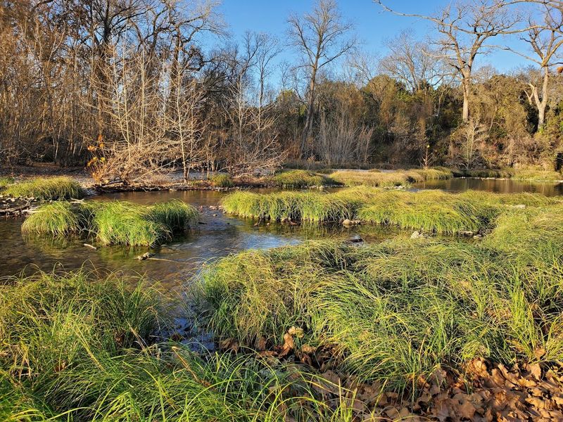 This Texas trail lets you discover several hidden waterfalls, swimming ...