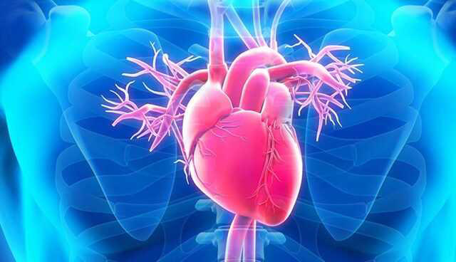 4 foods that are healthy for your heart