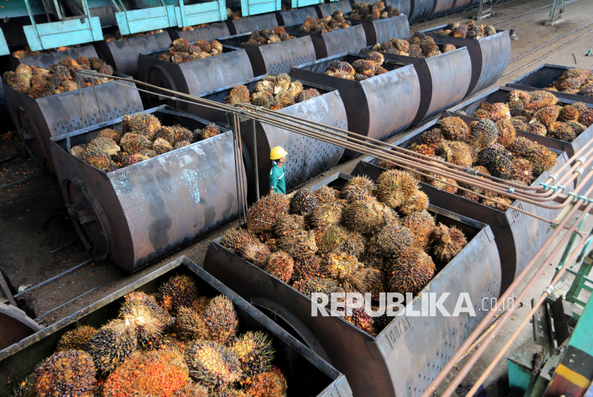 Paspi dukung BPDP danai 400 riset pengembangan kelapa sawit