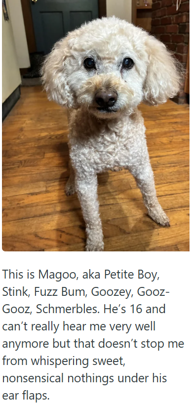 22 nonsense nicknames showing how pupper pawrents have lost their minds