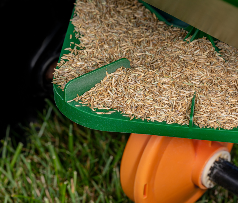 The biggest mistakes people make when planting grass seed (and how to ...