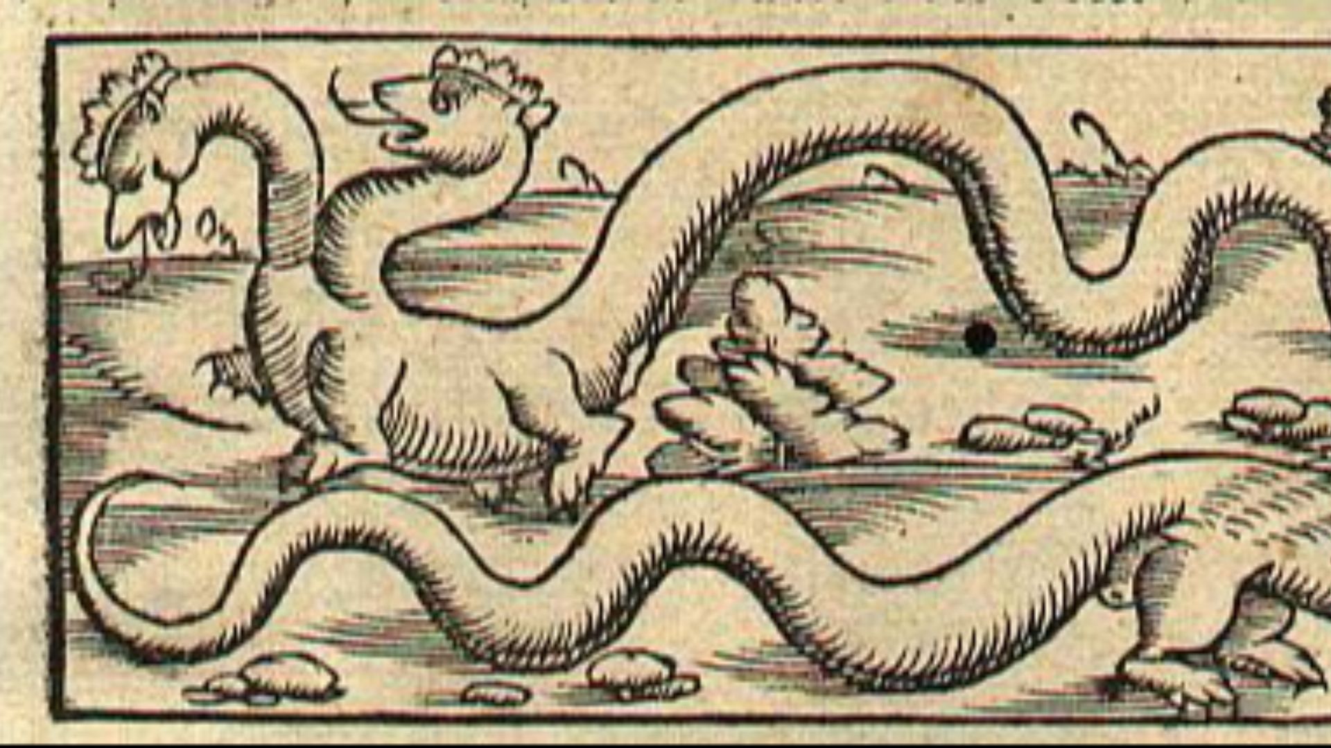10 dragon sightings history took seriously & 10 reasons dragons never ...