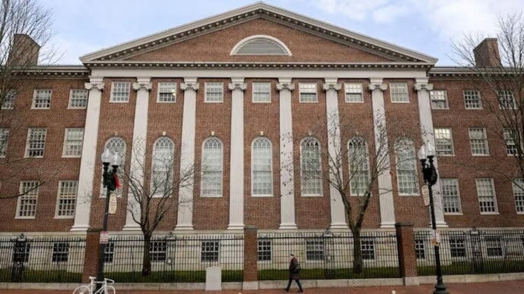 Harvard offers 6 free courses in AI, data science, and web development ...