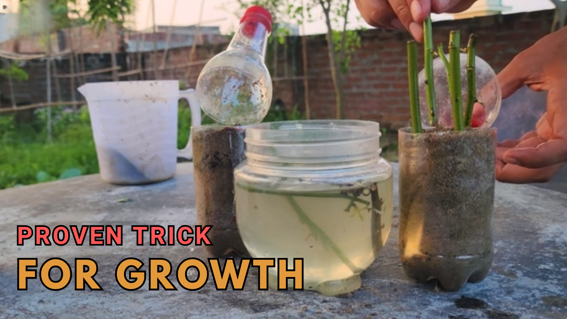 Improve cutting growth fast using this tested method