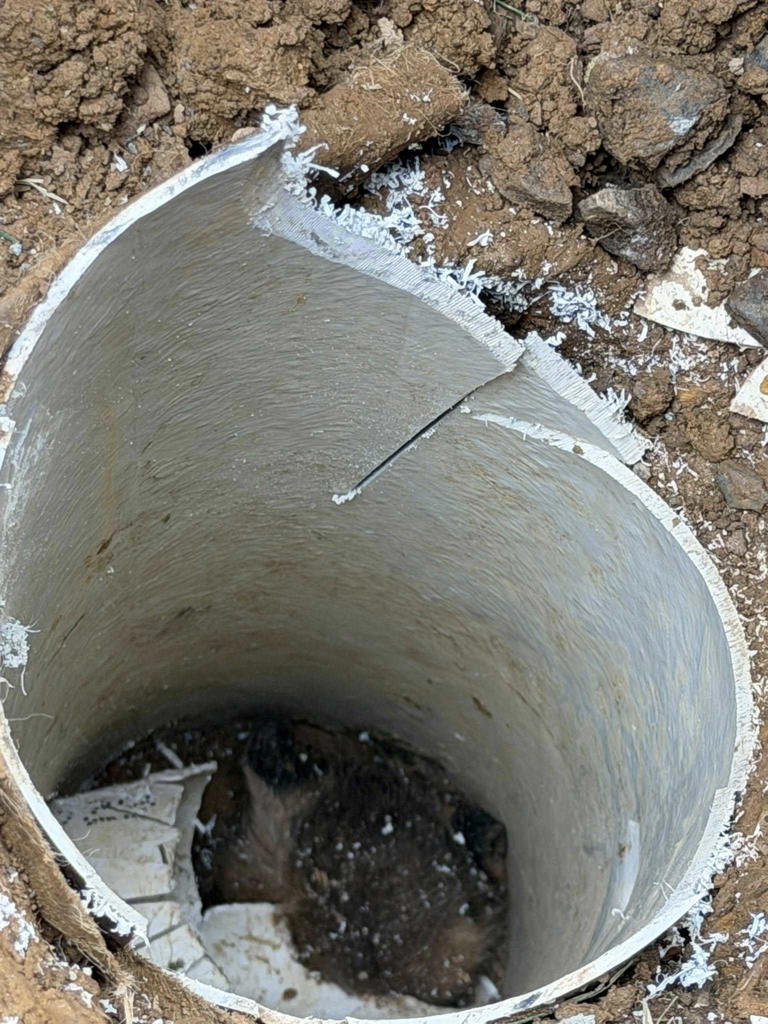 Red Lion firefighters rescue 5 baby foxes stuck in drainage pipe