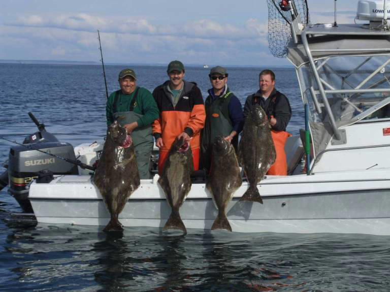Halibut fishing underway in Puget Sound and the straits