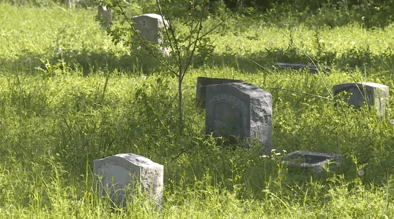 Nonprofit takes on task of cleaning up Hollywood Cemetery