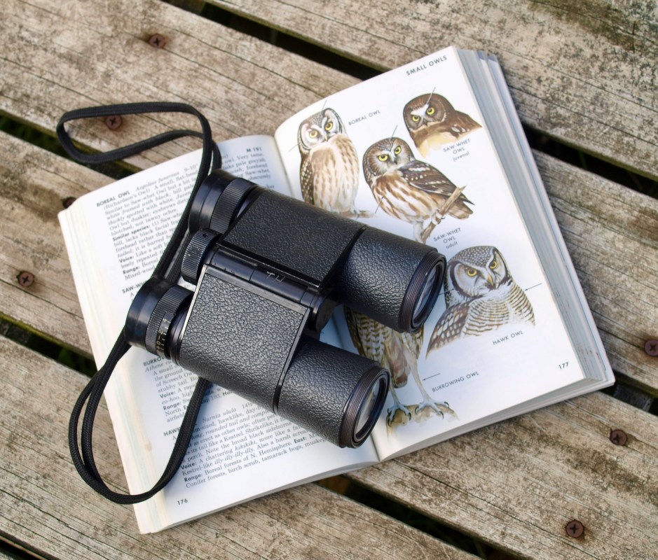5 spots where retirees can enjoy the best bird watching in the US
