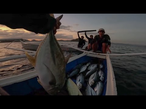 Ce voyage sous la mer va vous émerveiller