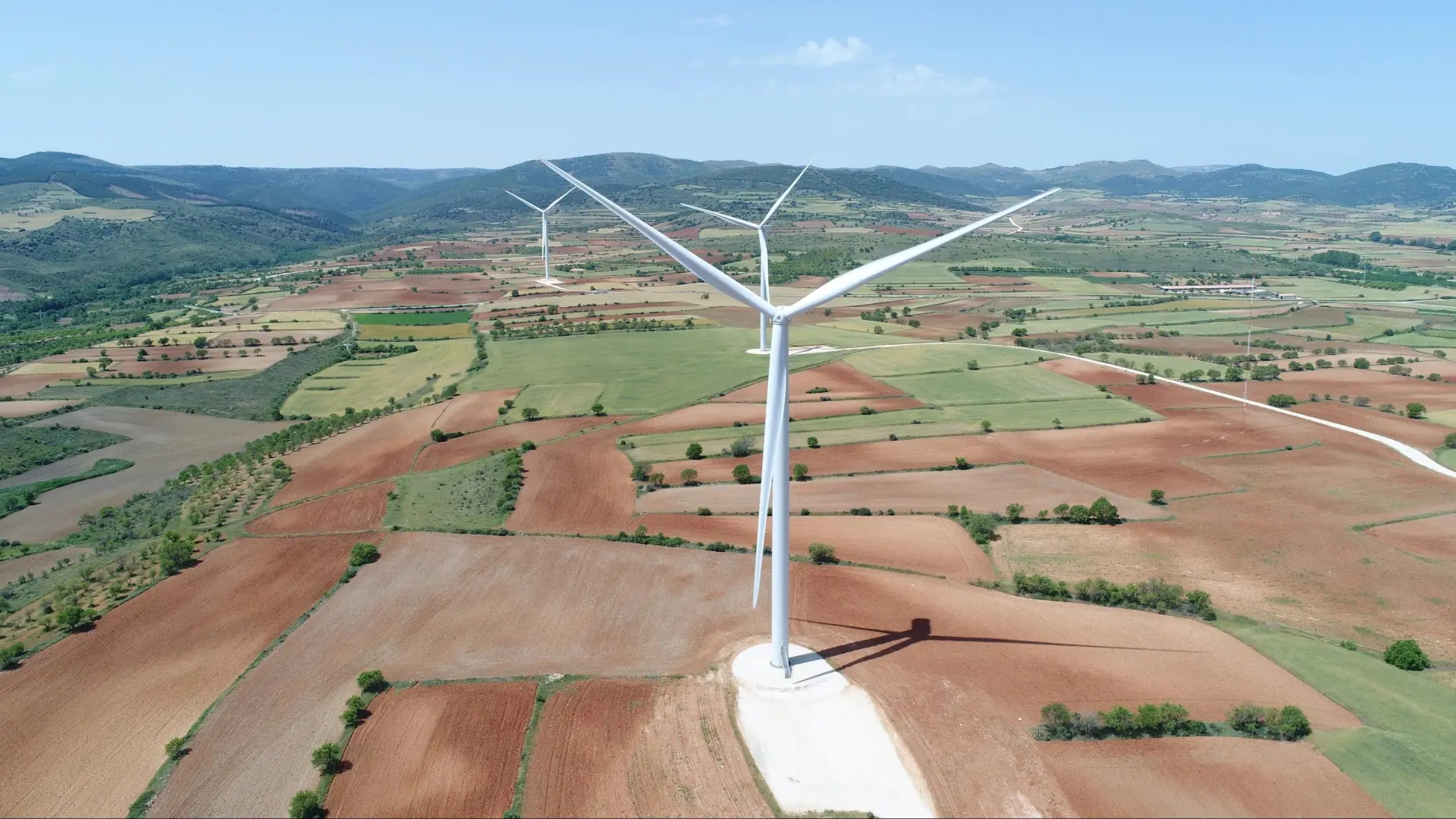 Forestalia despide a 6 empleados tras perder el permiso de más de 200 ...
