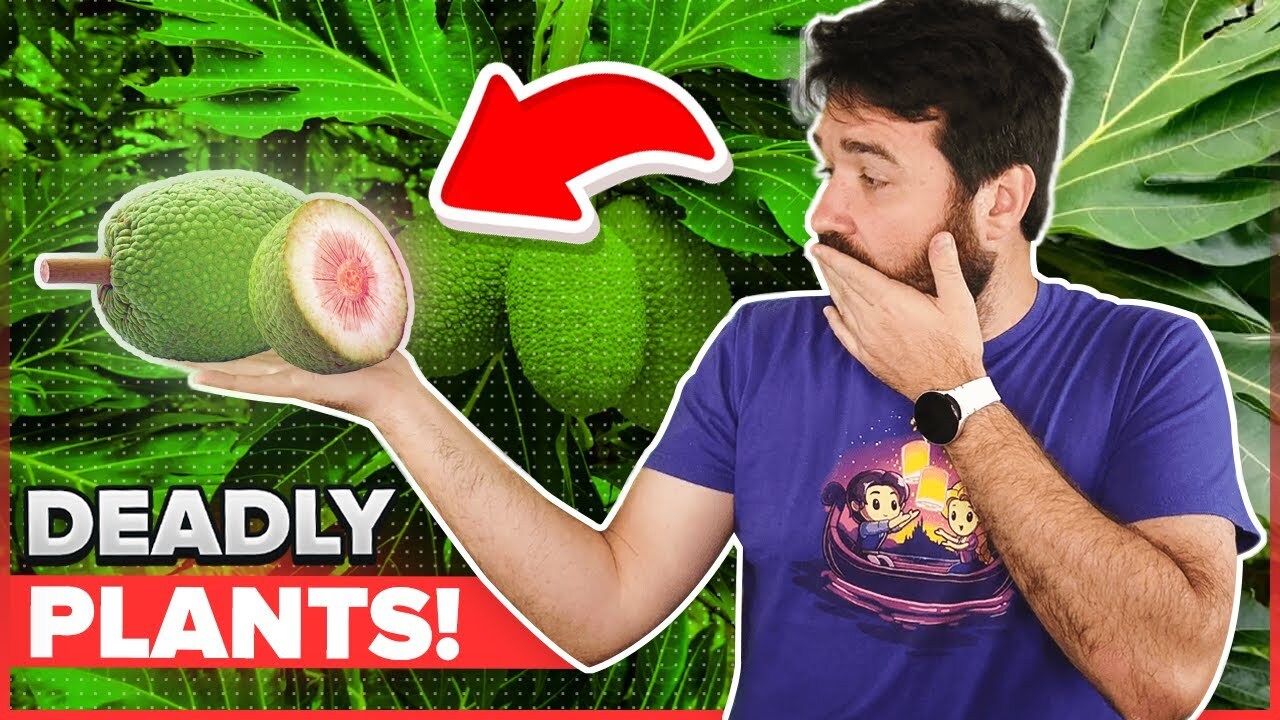 25 deadly plants you might not know