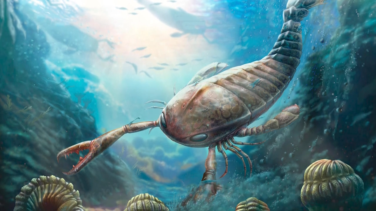 Fossils suggest a river once filled with enormous eurypterids