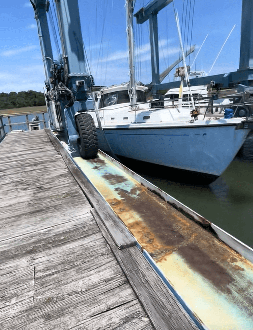 American woman missing in Bahamas after going overboard during boat ...