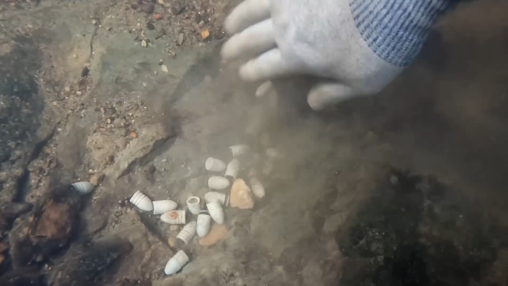 They dug 125 bullets, but this one token stole the whole hunt