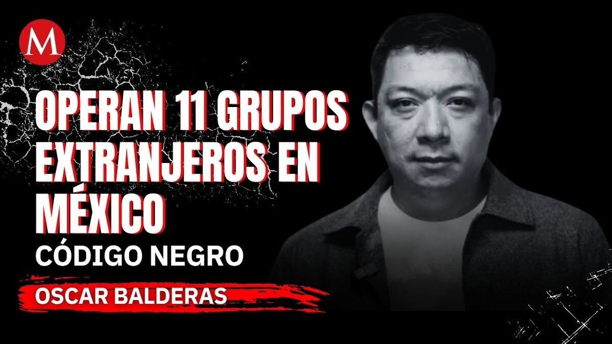 ¿México es el paraíso de 11 mafias internacionales y no solo de los ...
