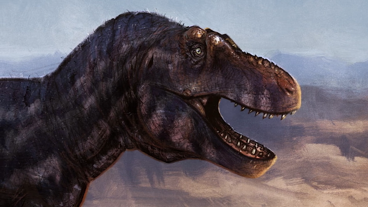 The "slow giant" theory and why some scientists reject it