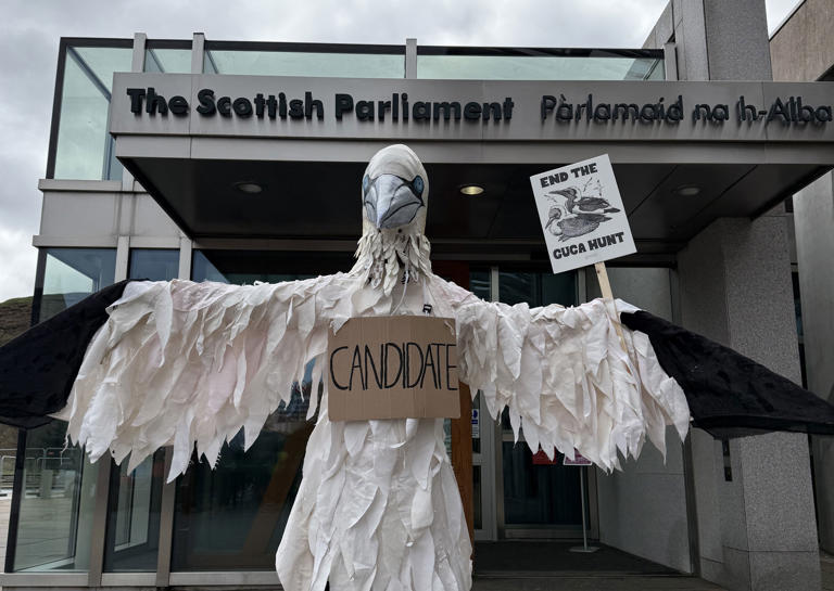 Man in giant bird costume running for Scottish Parliament