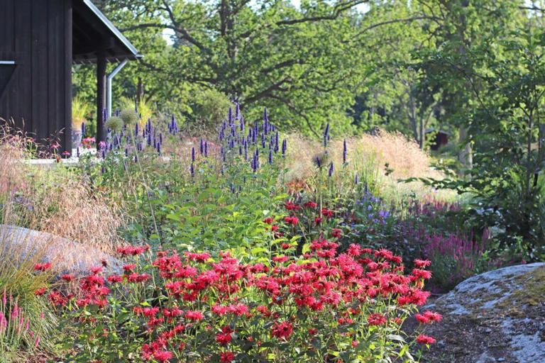 I'm a Scandinavian garden designer: These are my 3 tips for a calm ...