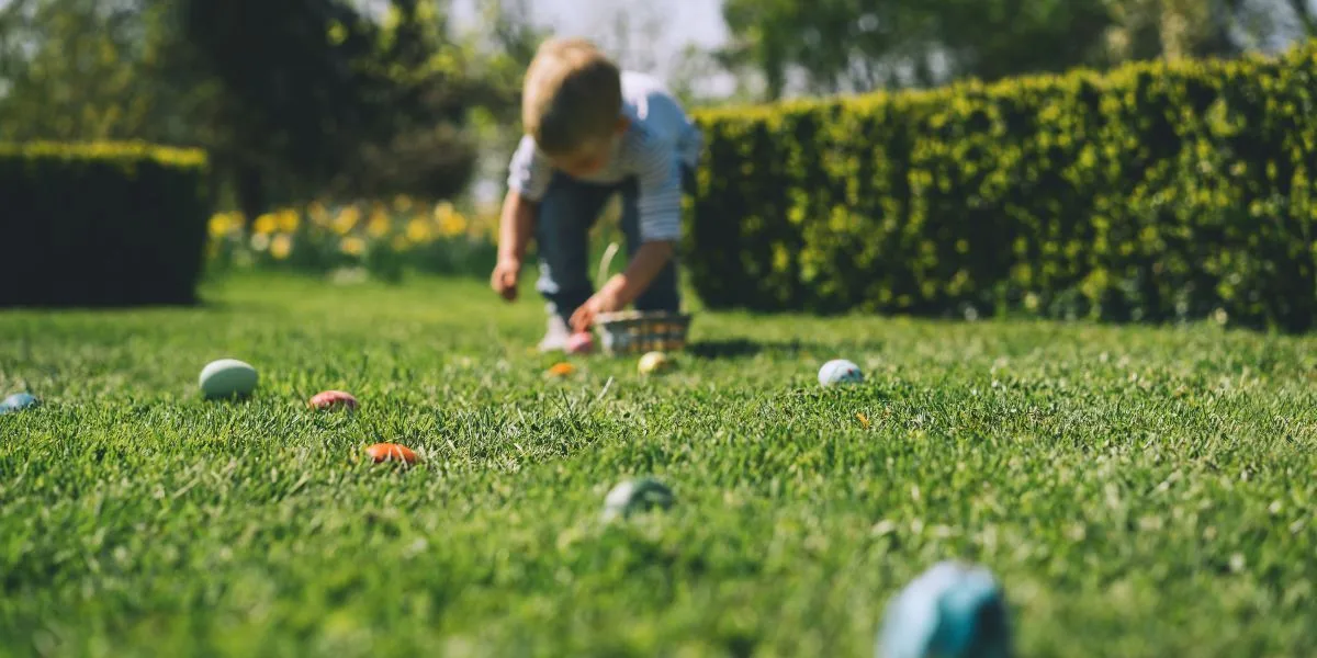 'Radioactive poison' found during Easter egg hunt