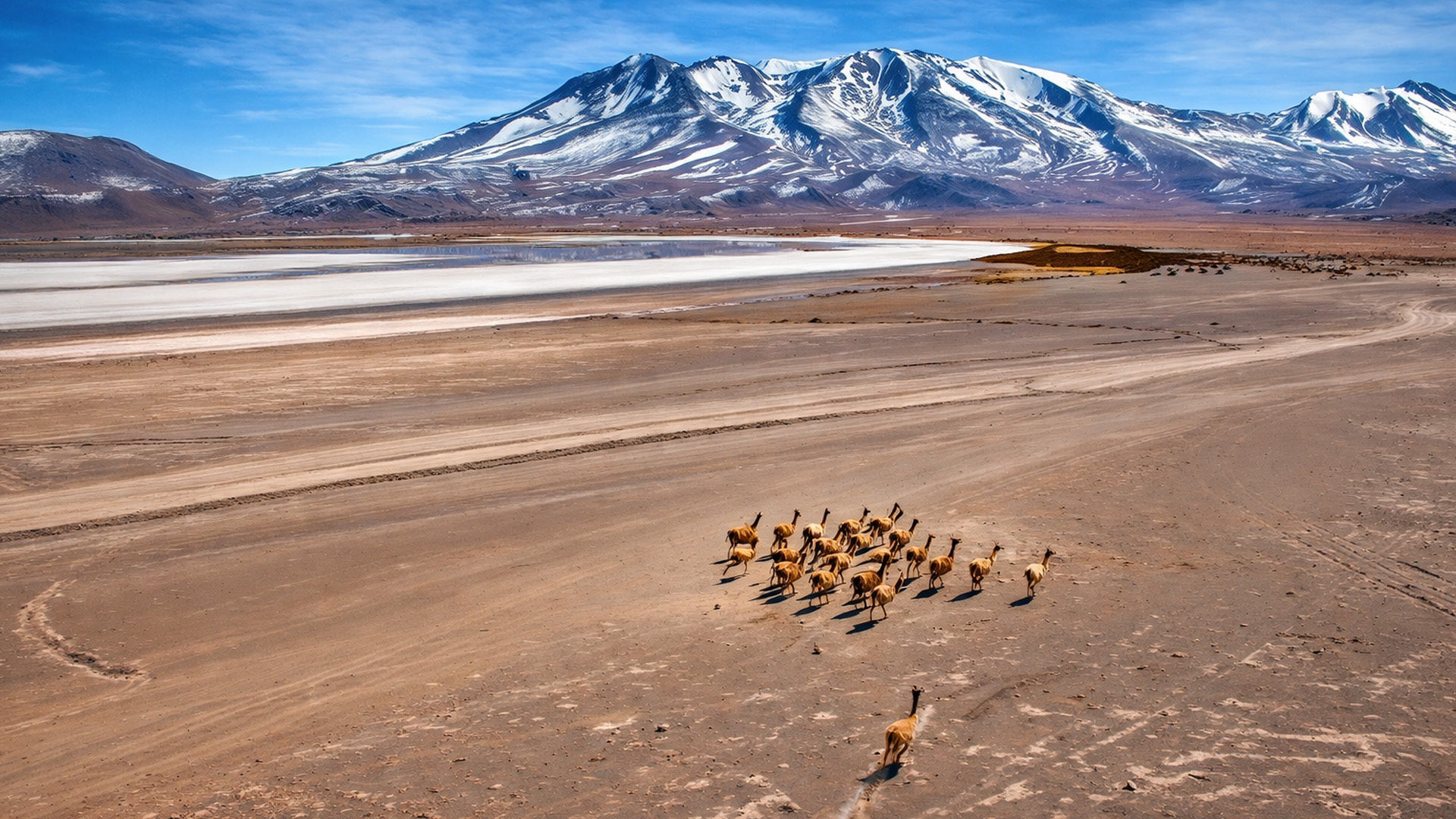 An infinite white plain under a clear blue sky