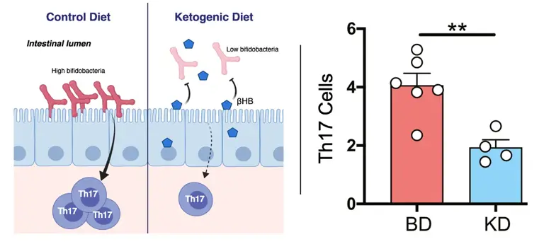 A keto diet cured my inflammatory bowel disease. What does the science say