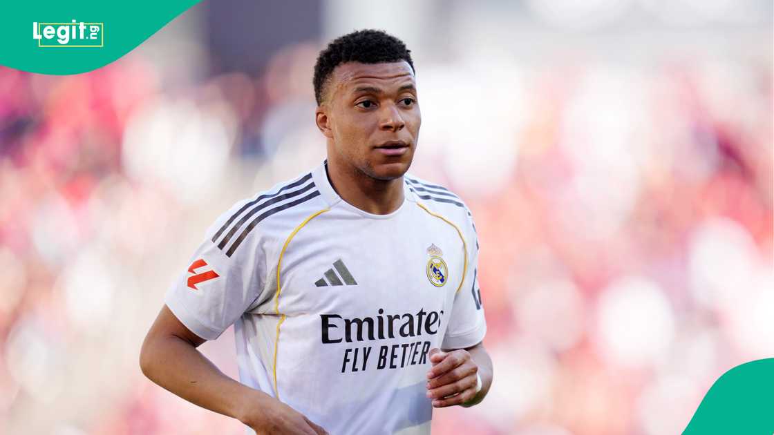 Mysterious cat predicts Champions League match between Real Madrid vs ...