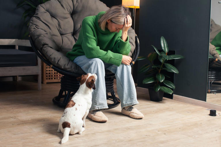 What your bond with your pet subtly reveals about your relationships