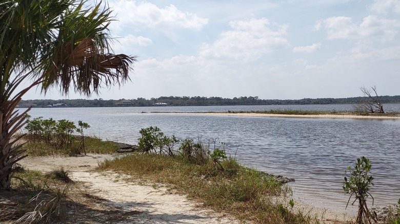 Nestled between Jacksonville and Orlando is Florida's beautiful state ...